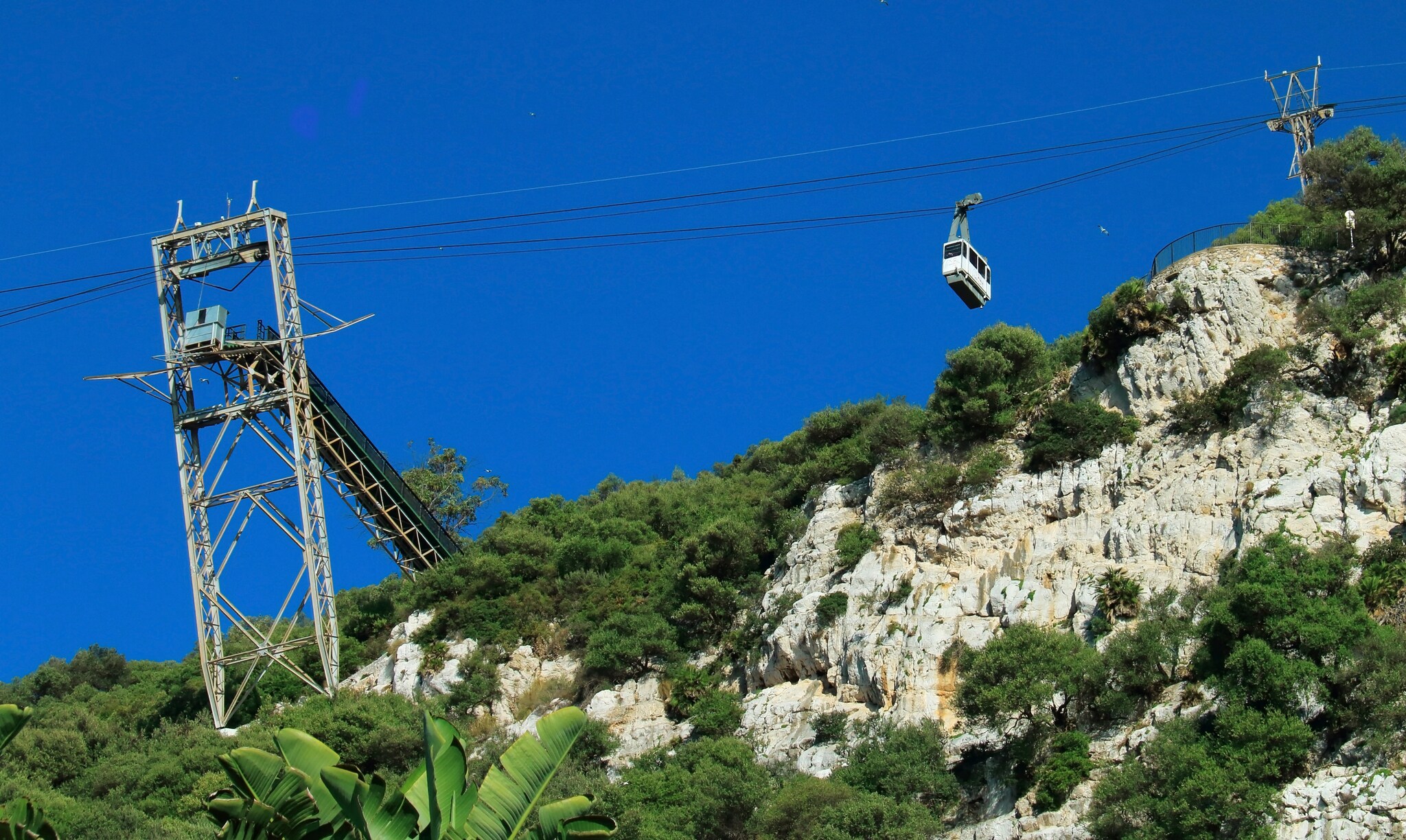 alameda-gardens-and-cable-car