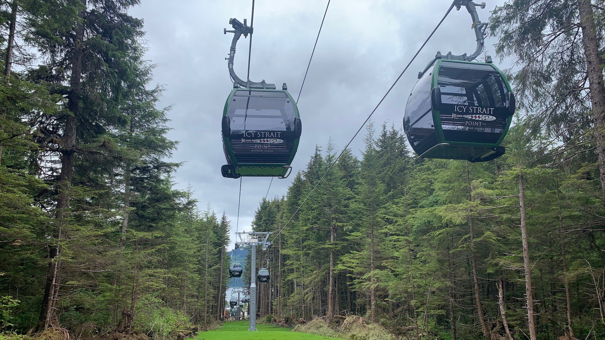 mountaintop-gondola-forest-tram