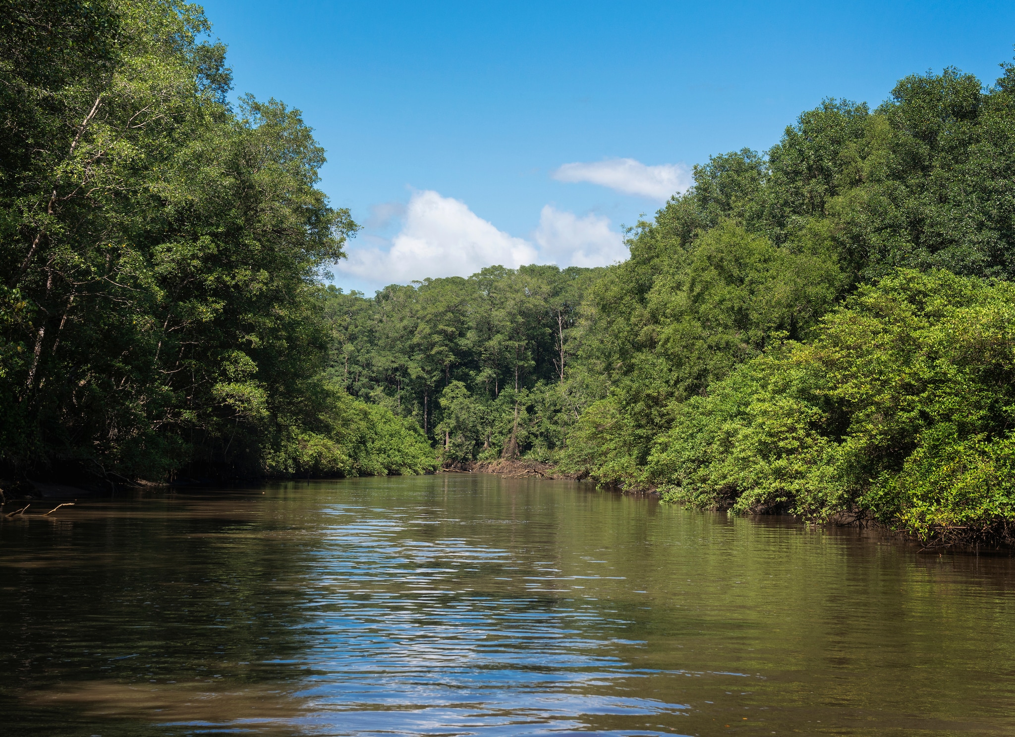 costa-rican-rail-river-ride